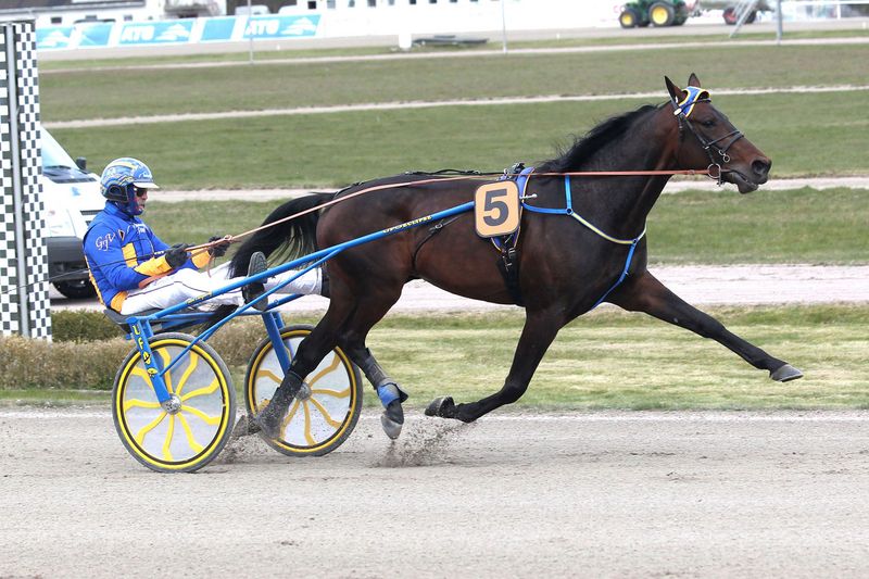 Jaap van Rijn in blau zum Schwarzer Steward-Finale - Hamburger Trab ...