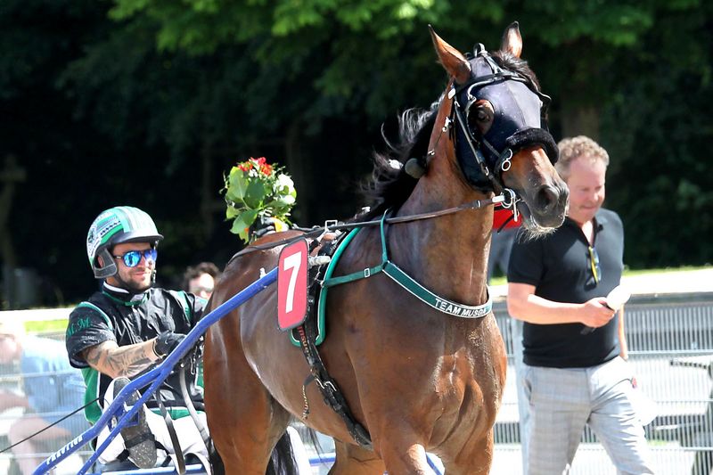 Tag des Thomas Panschow - Hamburger Trab-Zentrum e.V.