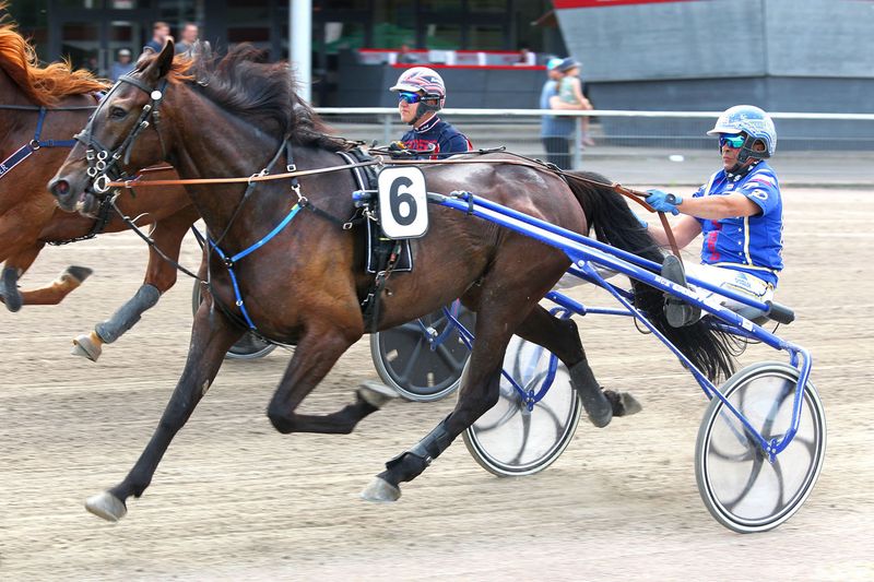 Tag des Thomas Panschow - Hamburger Trab-Zentrum e.V.