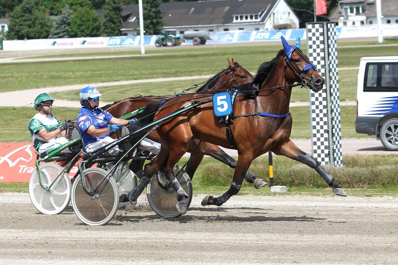 Tag des Thomas Panschow - Hamburger Trab-Zentrum e.V.