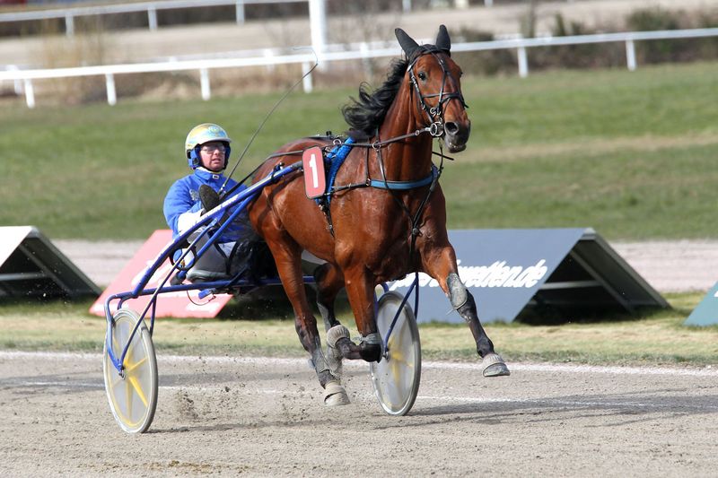 Jaap van Rijn in blau zum Schwarzer Steward-Finale - Hamburger Trab ...