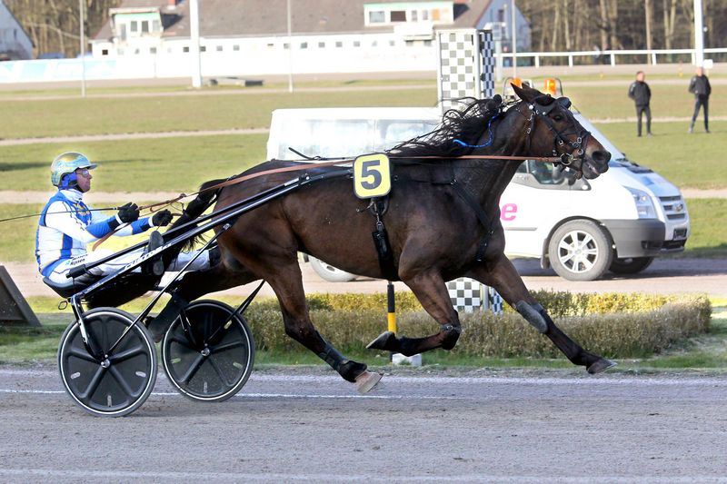Jaap van Rijn in blau zum Schwarzer Steward-Finale - Hamburger Trab ...