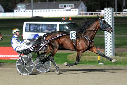 Der erste Sieg ist wie der erste Kuss - Hamburger Trab-Zentrum e.V.
